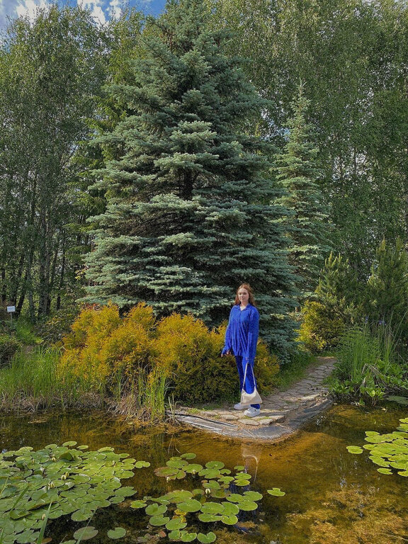 Turistik yerler МАУК Мемориальный ботанический сад Г.А. Демидова, Solikamsk, foto