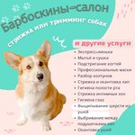 Barboskiny (Tsiolkovskogo Street No:24), evcil hayvan kuaförleri  Belgorod'dan