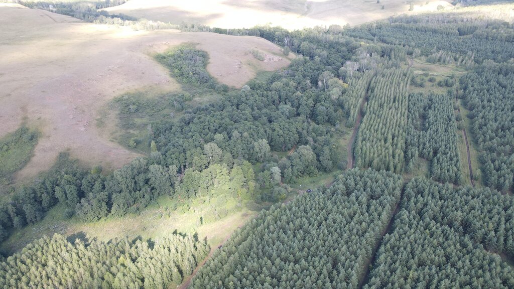 Doğa Урочище Козлоуха, Orenburgskaya oblastı, foto