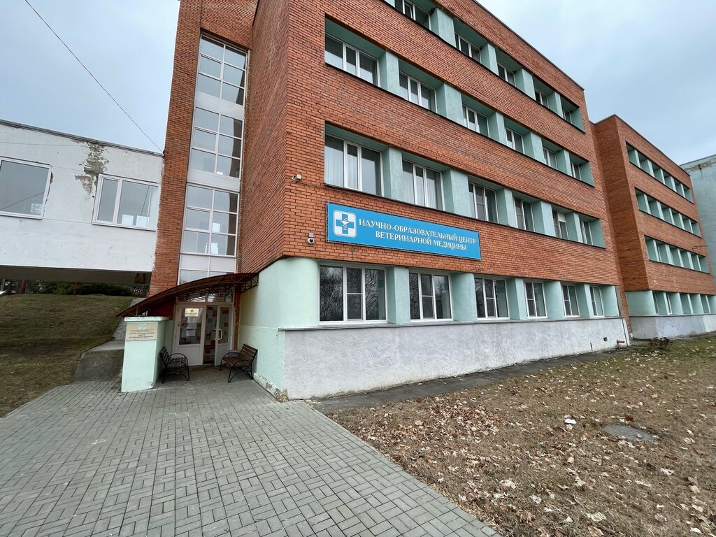 Veteriner klinikleri Nocvm, Penza, foto