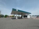 Arlan (Baizak Batyr Street No:183), benzin istasyonu  Taraz'dan
