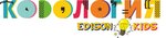 Kodologia (Dimitrova Avenue No:7), kurs  Novosibirsk'ten