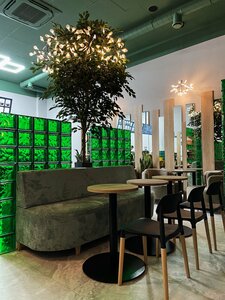Kahve dükkanları Roboost, Essentuky, foto