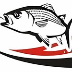 Рыболовная Империя (Sadovaja vulica No:17В, Tarasava), balıkçılık ekipman firmaları  Minskaya oblastından