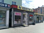 Цветы (Kaliningrad, Kommunisticheskaya Street), çiçekçiler  Kaliningrad'dan