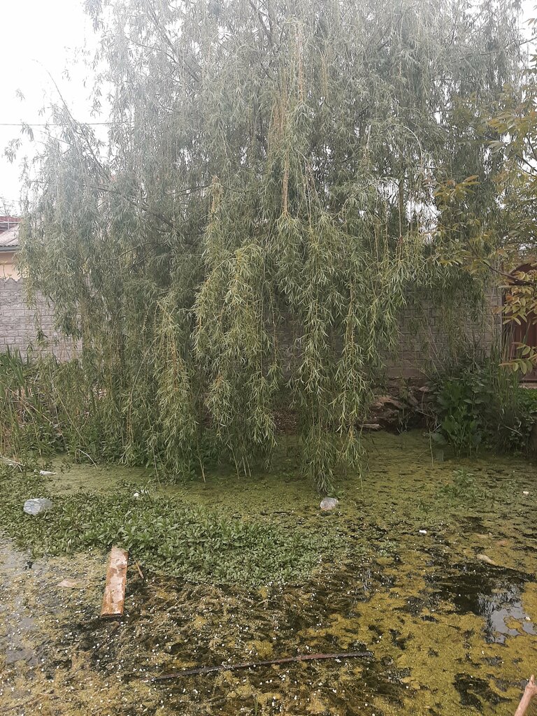 Pınar, çay Spring, stream, Sevastopol, foto