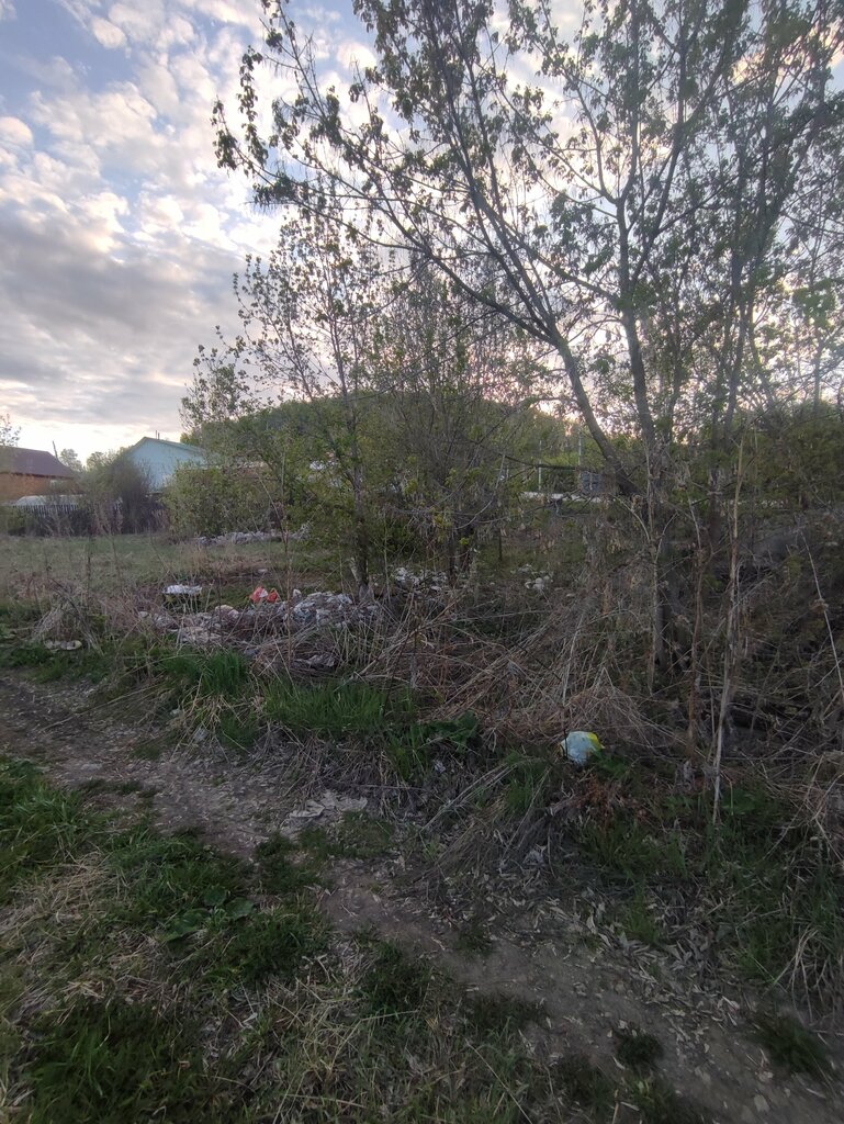 Şehir planlama Чистый город, Krasnoufimsk, foto