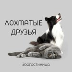 Lochmatye druzya (Mashinostroiteley Avenue No:46, Yaroslavl), pet otel  Yaroslavl'dan