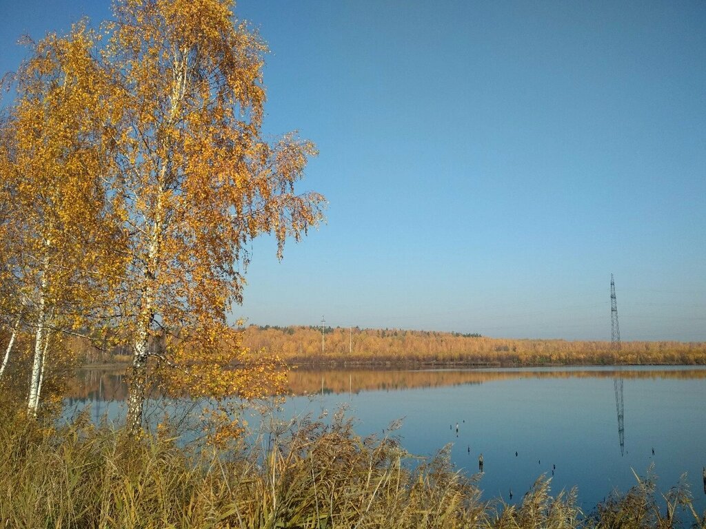 Bahçecilik dernekleri ve kuruluşları СНТ Олимпиец, Moskova ve Moskovskaya oblastı, foto