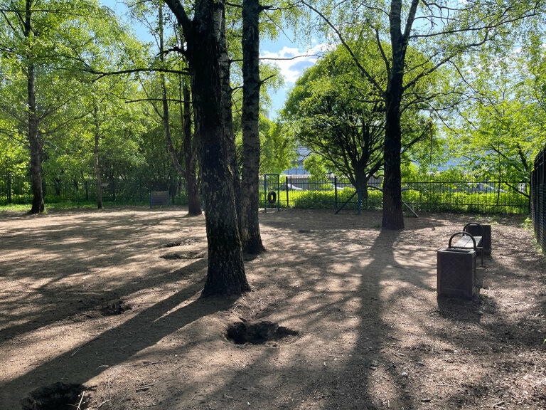 Köpek gezdirme alanları Dog park, Moskova, foto