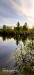 Spring, stream (Leningrad Region, Kirishskiy rayon, Pchevskoye selskoye poseleniye, derevnya Chirkovo), pınar, çay  Saint‑Petersburg ve Leningradskaya oblastından