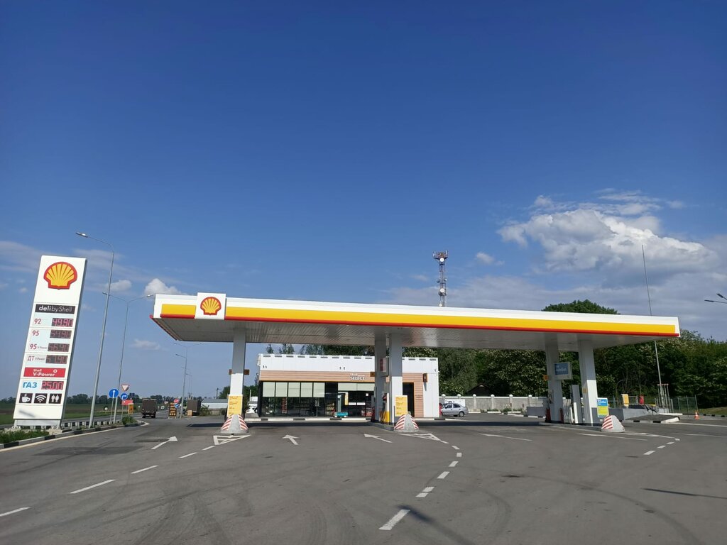 Benzin istasyonu Shell, Rostovskaya oblastı, foto