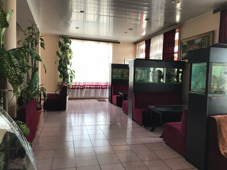 Kafe Фламинго, Derbent, foto