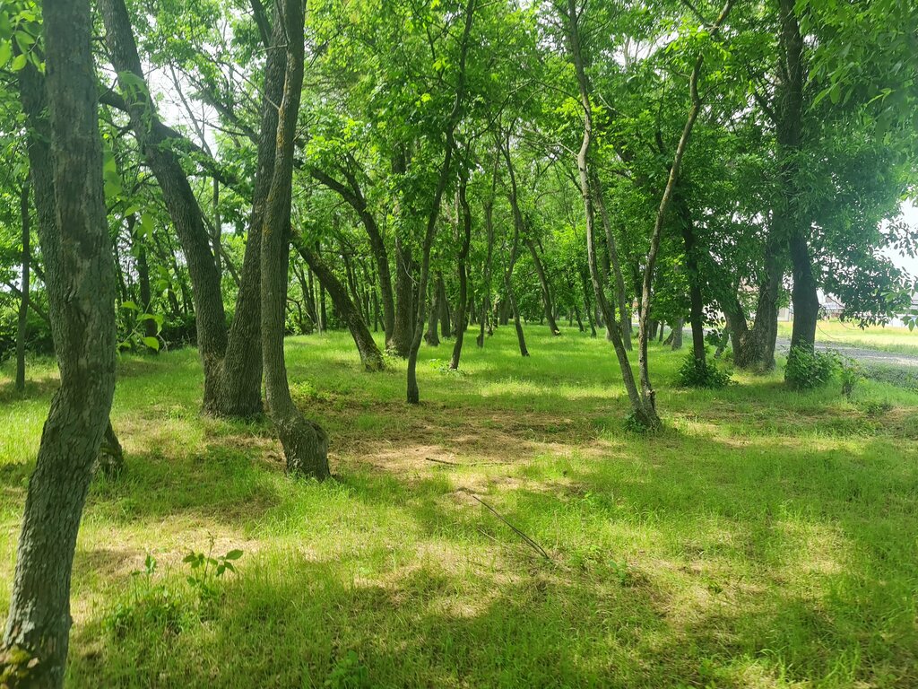 Arazi dizisi ТСН Ольгинский, Rostovskaya oblastı, foto