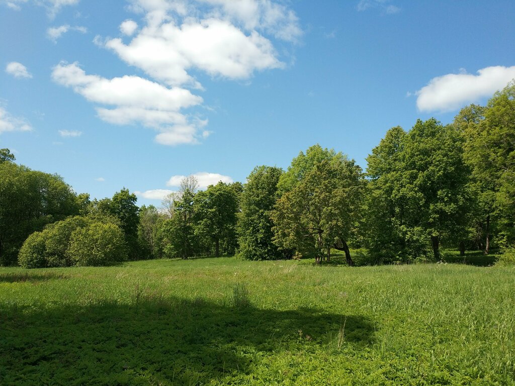 Kültür ve eğlence parkları парк усадьбы Р.И. Воронцова, Saint‑Petersburg ve Leningradskaya oblastı, foto