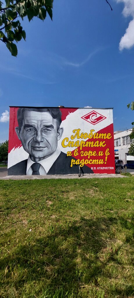 Sokak sanatı Н.П. Старостин, Moskova, foto