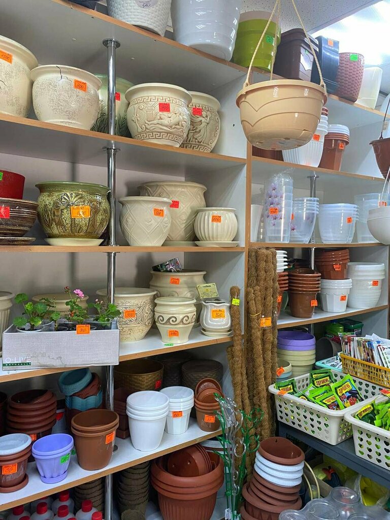 Bahçecilik mağazaları Fazenda, Permski krayı, foto