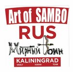 Мирный воин (Artilleriyskaya Street No:22), spor kulüpleri  Kaliningrad'dan
