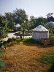 Chum (Andijan Region, Khanabad, Bog'i-Baland bog'i), resort oteller, tesisler