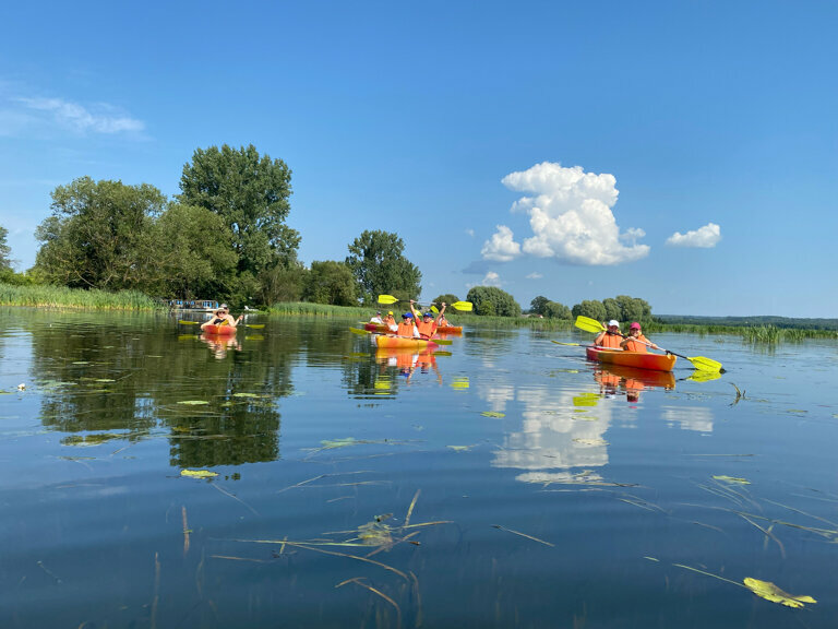 Eğlence merkezleri Za Mostochkom Usadba, Minskaya oblastı, foto