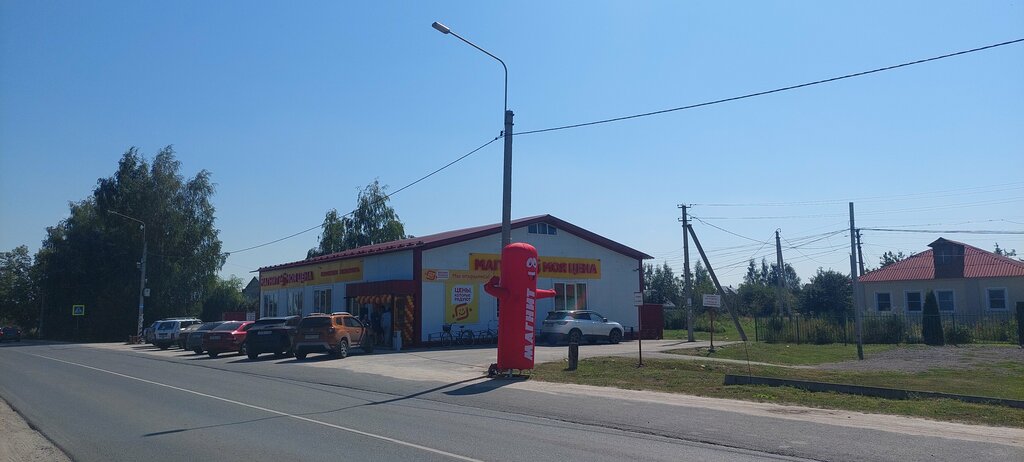 Market Magnit Moya Tsena, Riazanskaya oblastı, foto