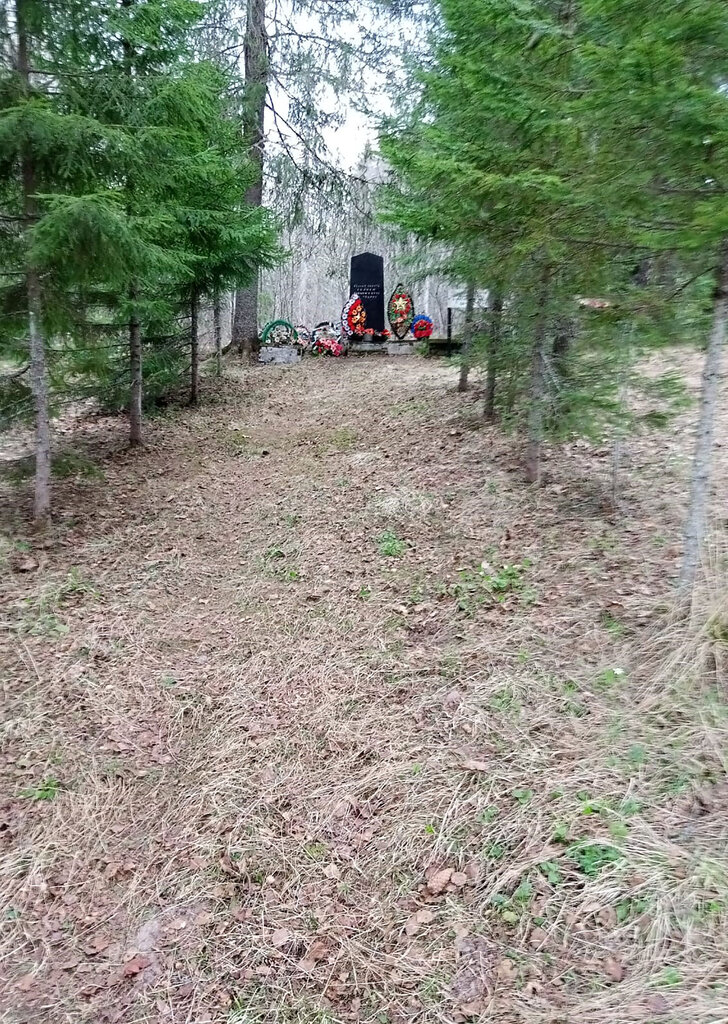 Anıt, heykel Братская могила, Novgorodskaya oblastı, foto