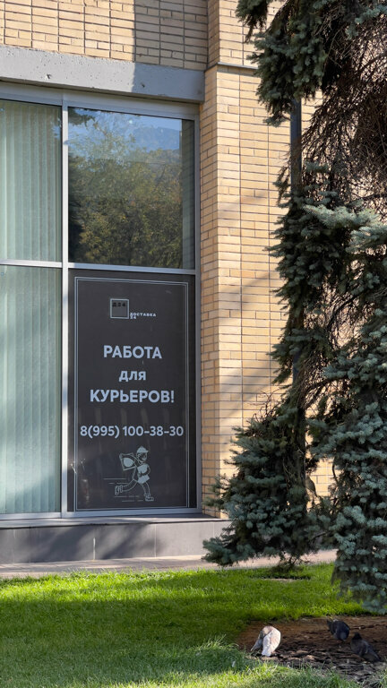 i̇nsan kaynakları şirketleri Dostavka24, Moskova, foto