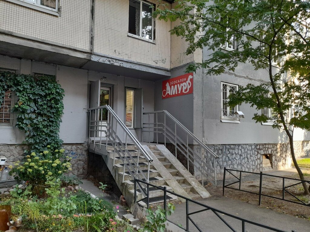 Evcil hayvan kuaförleri Zoosalon Amurr, Saint‑Petersburg, foto