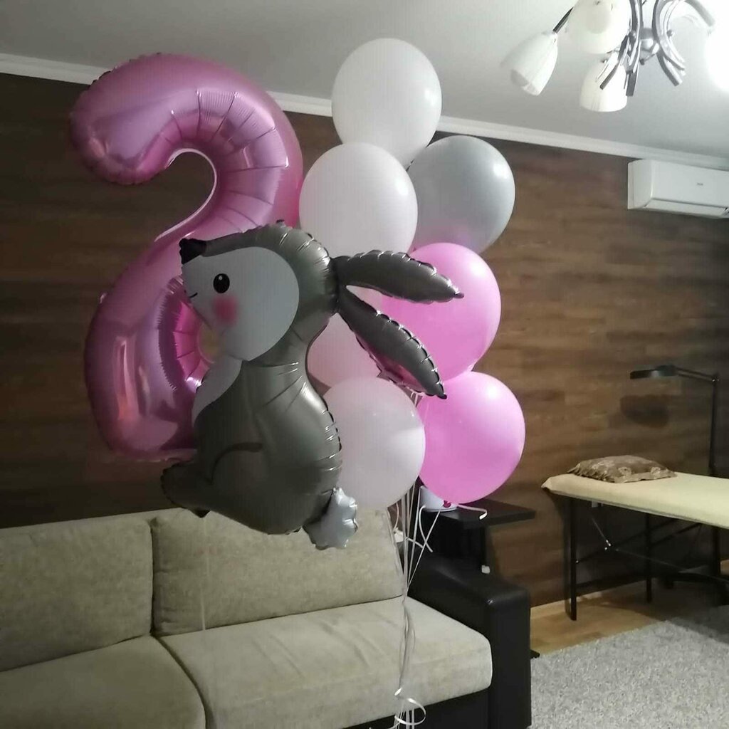 Kutlama ürünleri Студия аэродизайна, Saint‑Petersburg, foto