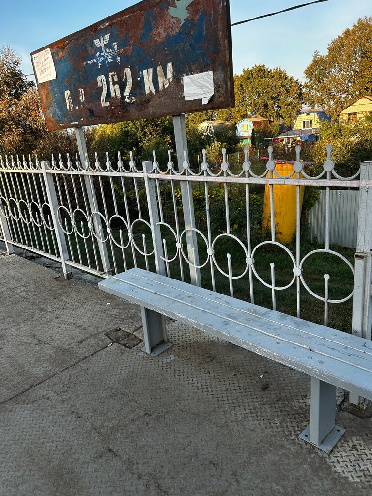 Tren istasyonu 262 км, Saratovskaya oblastı, foto