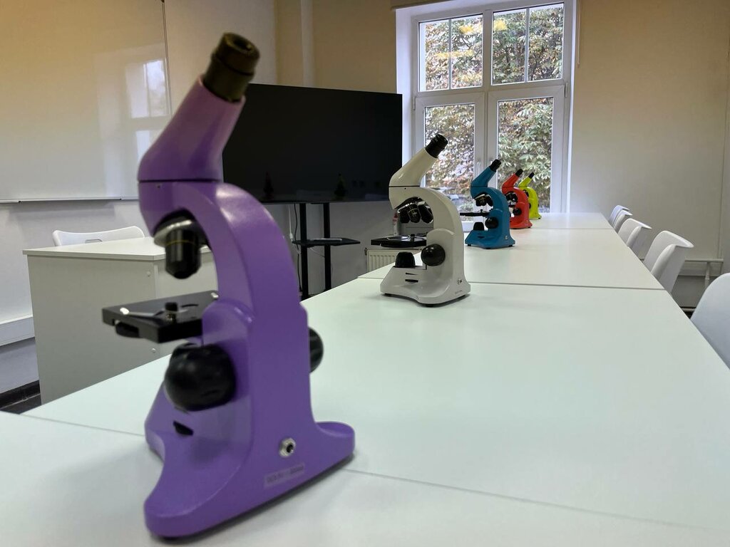 Kurs Maxi School, Moskova, foto