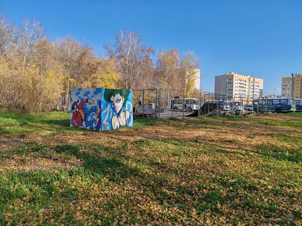 Kaykay parkı Скейт-парк, Novosibirskaya oblastı, foto