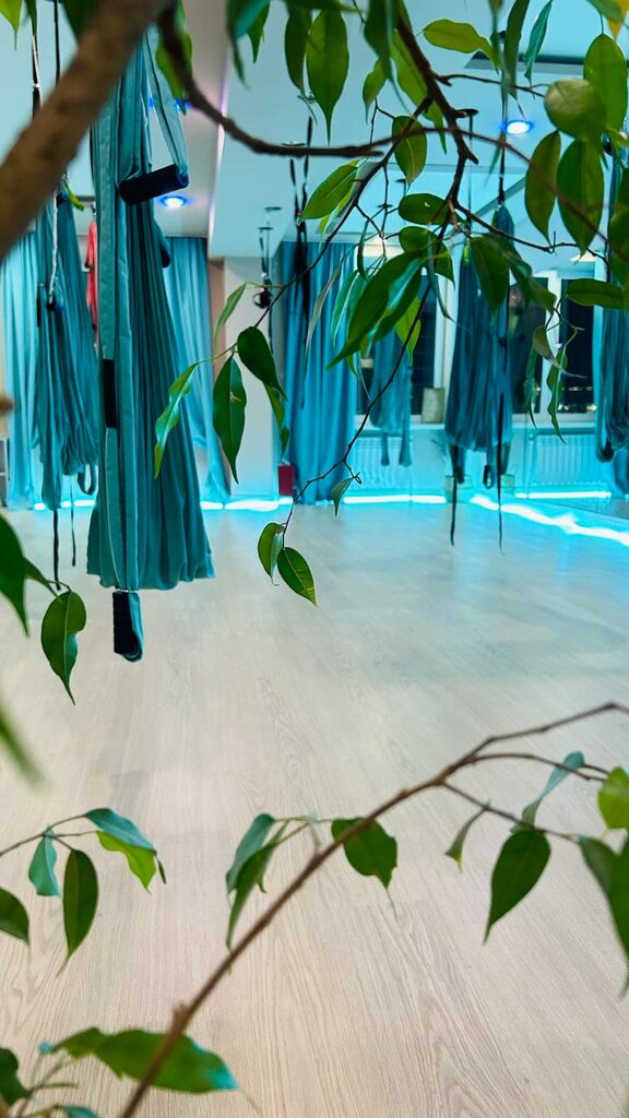 Fitness kulüpleri Four Elements Place, Troitsk, foto