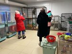 Волонтерский отряд Неравнодушные (No:138, 11-y mikrorayon), sivil toplum kuruluşları  Gubkinski'den