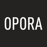 Opora (Tsiolkovskogo Street No:27), tabela yapımı  Yekaterinburg'dan