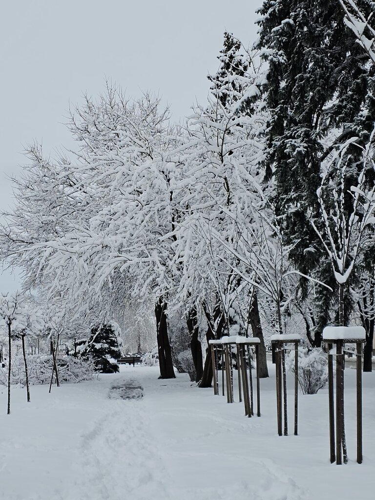 i̇skele Улица Челюскинцев, Stariy Oskol, foto