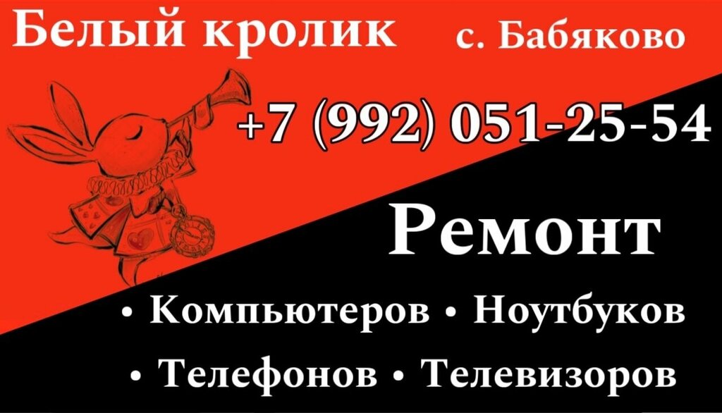 Telefon tamir servisi Белый Кролик, Voronejskaya oblastı, foto