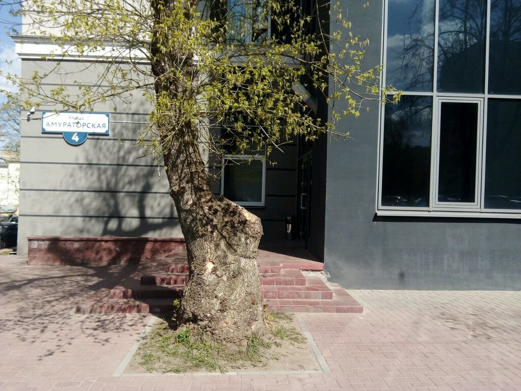 Kuaför meslek eğitimi Studia Pegas, Minsk, foto