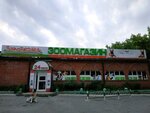 ZooModnik (Belinskogo Street No:112А), evcil hayvan kuaförleri  Yekaterinburg'dan