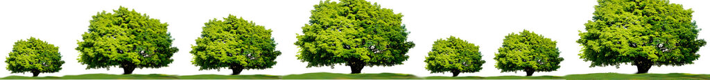 Bahçe ekipmanları ve teknolojileri Akins-Alford's Tree Care, İndiana Eyaleti, foto