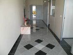 Pastina Marmi (Lombardy, Province of Mantua, Via Malpasso, 9), i̇nşaat malzemeleri toptan  Sansepolcro'dan
