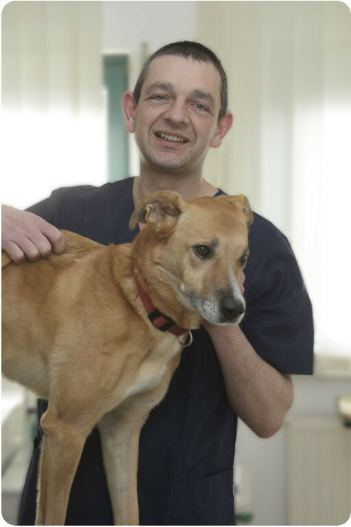 Veteriner klinikleri Tierarztpraxis Langebrück - Dr. med. vet. Mathias Ehrlich, Saksonya, foto
