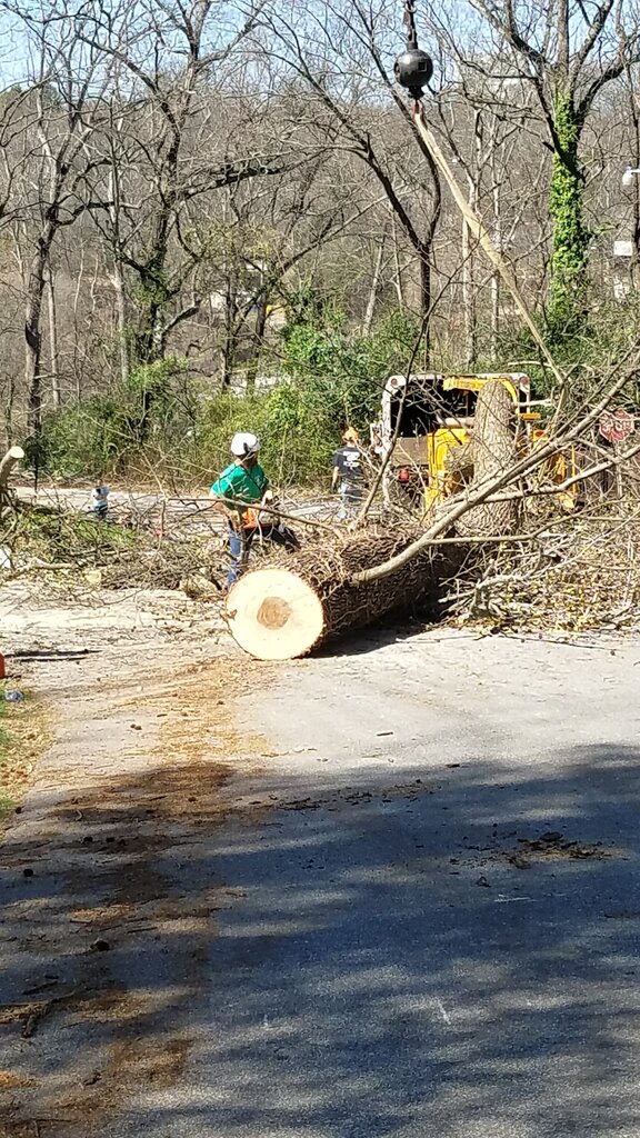 Bahçe ekipmanları ve teknolojileri Rts Arborists, LLC, Güney Carolina, foto