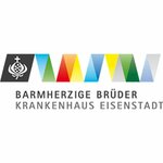 Krankenhaus der Barmherzigen Brüder Eisenstadt GmbH (Burgenland, Eisenstadt, Karl Auer von Welsbach-Weg, 1), hastaneler  Dünya'dan