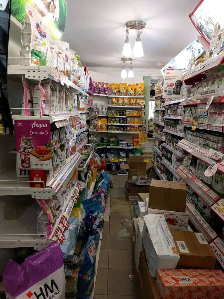 Petshop Зоокот, Yekaterinburg, foto