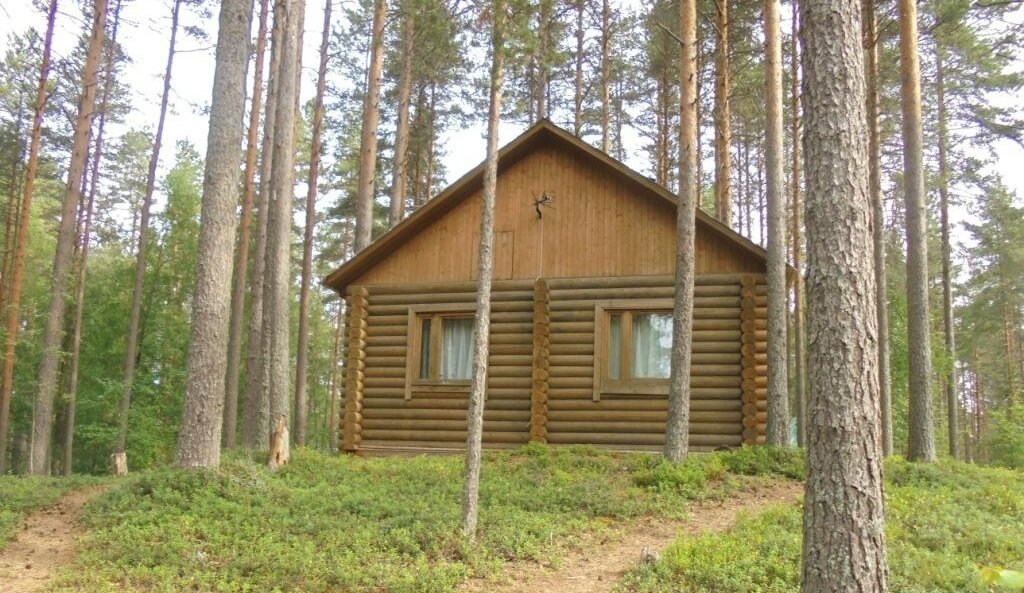 Resort oteller, tesisler Kurmoyla, Karelya, foto