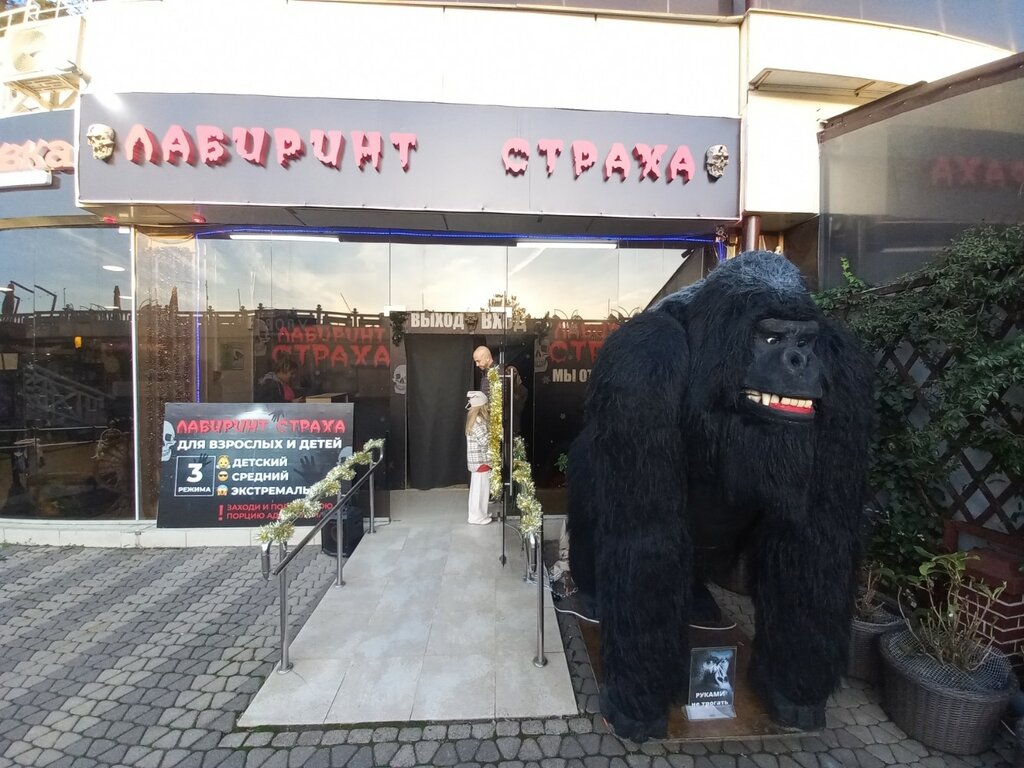 Oyun odası Лабиринт страха, Soçi, foto