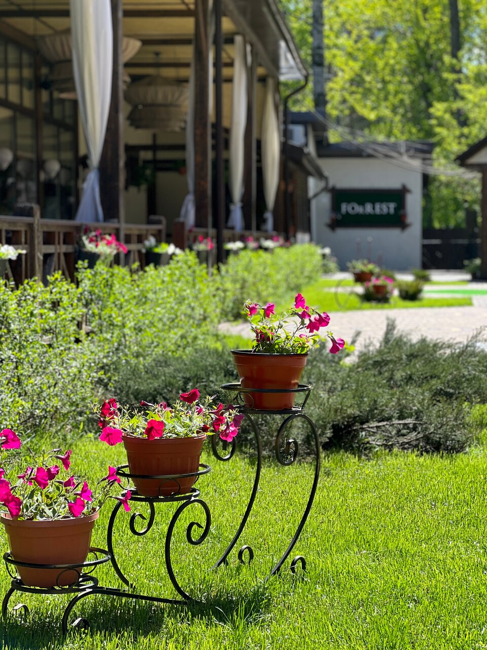 «Места для проведения корпоративов в Воронеже» фото материала