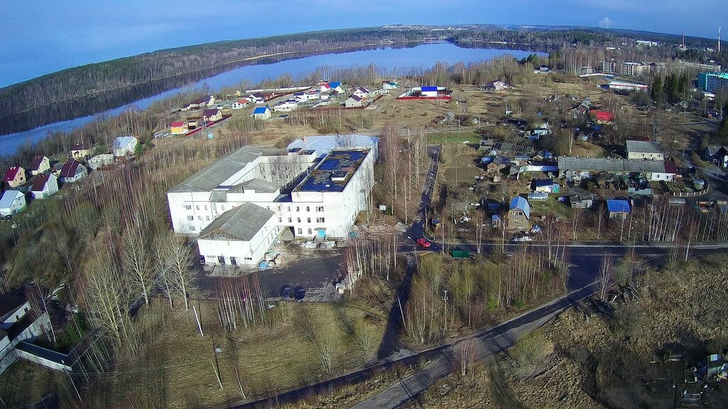 Poliklinikler Kamennogorskaya poliklinika, Kamennogorsk, foto