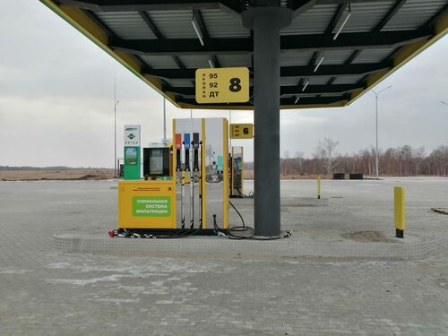 Benzin istasyonu Topline, Novosibirskaya oblastı, foto